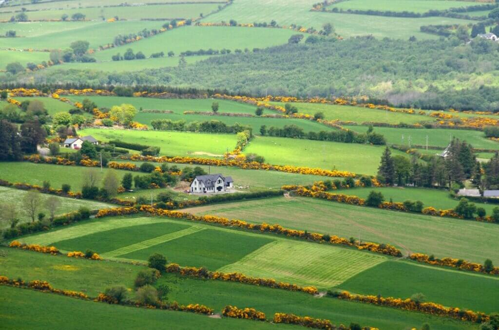 County Carlow: The Celtic Center of Ireland — IRELAND ON A BUDGET